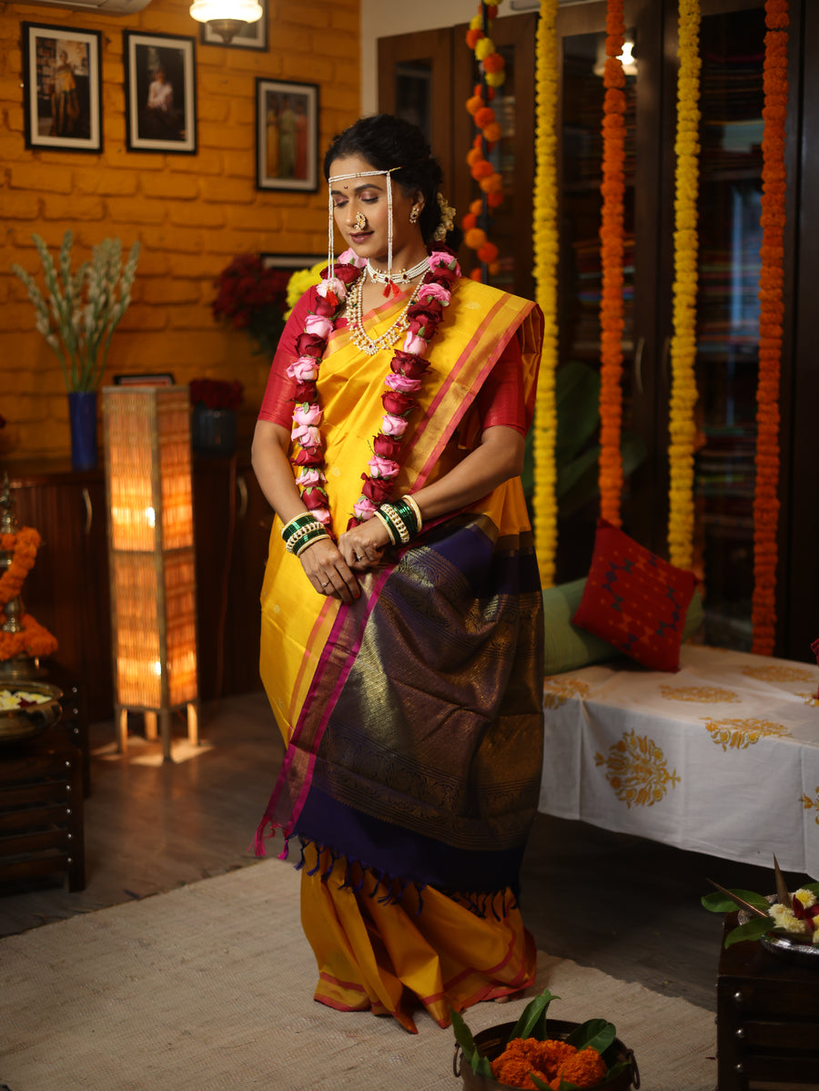 Sayali Rajadhyaksha Sarees